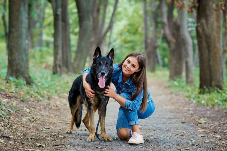 How To Become An Amazing German Shepherd Owner - Smart Dog Learning