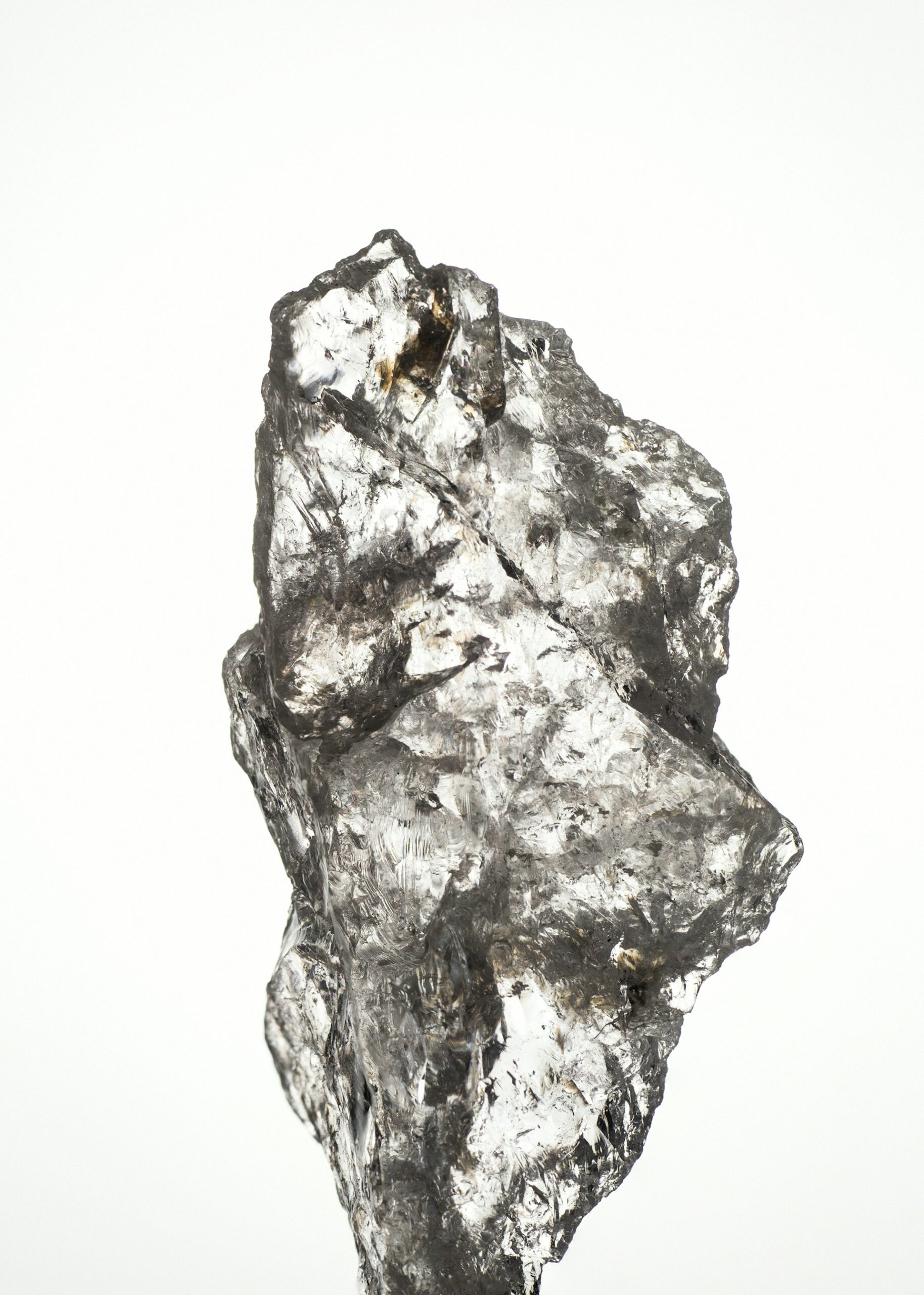 5 Must-Have Crystals for Dogs (For Pawsitive Vibes)