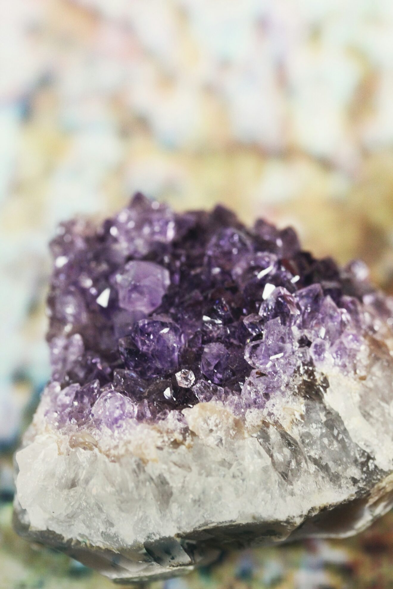 5 Must-Have Crystals for Dogs (For Pawsitive Vibes)