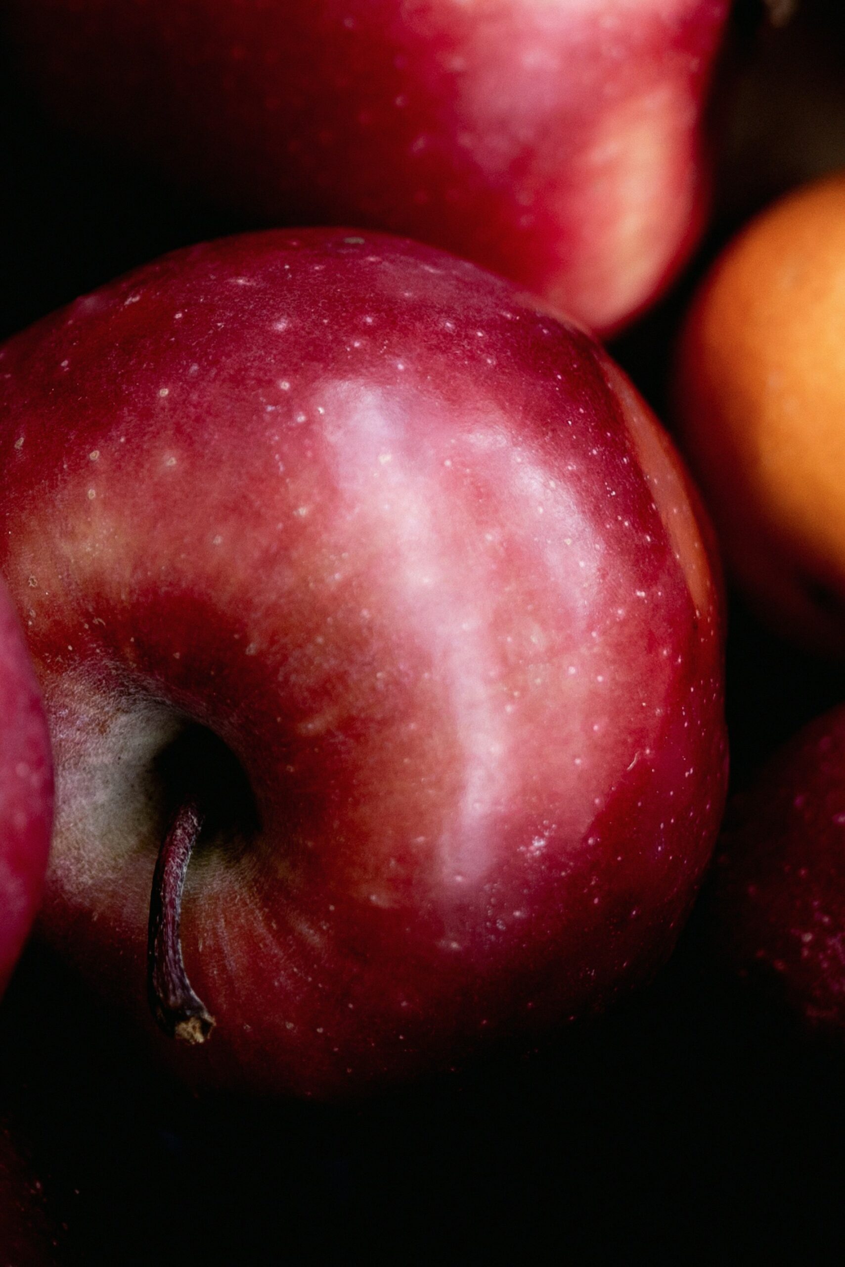Can Dogs Eat Apples? - Smart Dog Learning