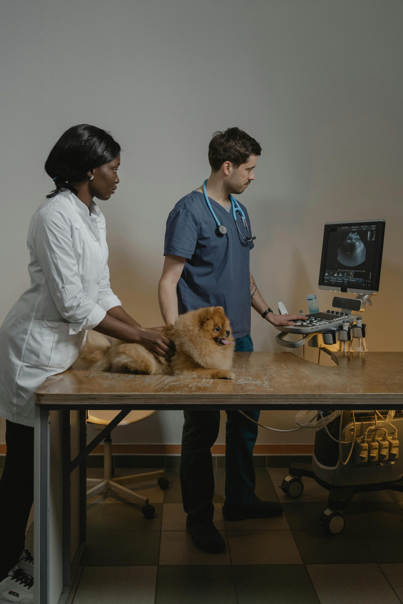 7 Life-Saving First Aid Tips for Dog Emergencies - Smart Dog Learning